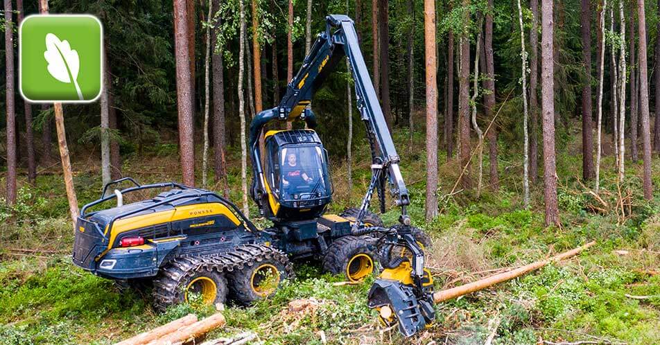 Metsa ost nii kasvava metsa kui ka metsamaa näol